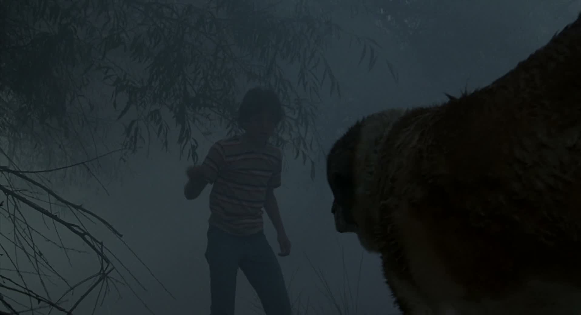 [Film] Cujo, de Lewis Teague (1983) - Dark Side Reviews