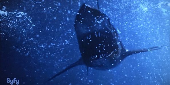 [Film] Ice Sharks, de Emile Edwin Smith (2016) - Dark Side Reviews