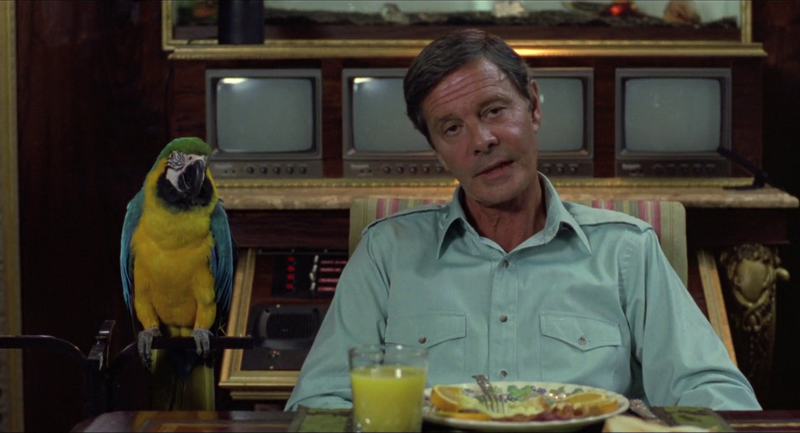 [Film] Le Retour de la Créature du Lagon, de Jim Wynorski (1989) - Dark ...