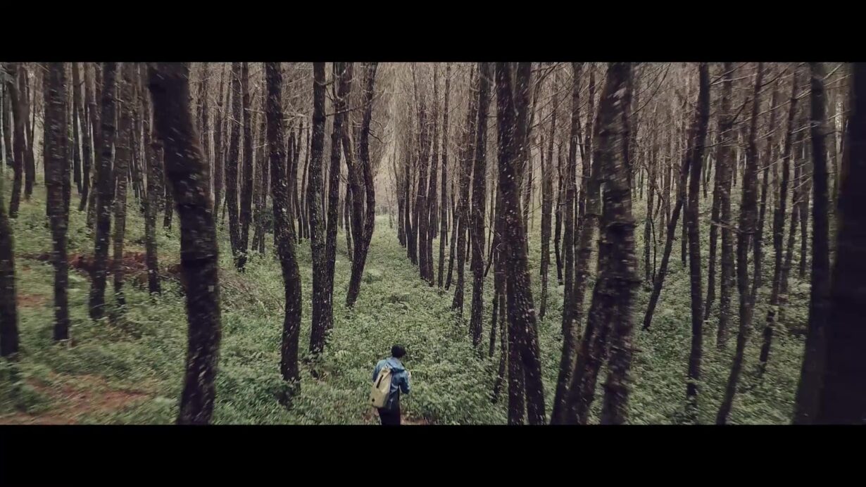 [Film] Alas Pati: Hutan Mati, de Jose Poernomo (2018) - Dark Side Reviews