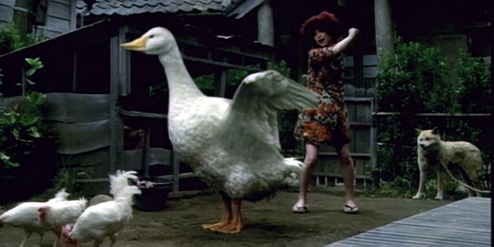 [Film] Hakuchi : L’Idiote, de Makoto Tezuka (1999) - Dark Side Reviews