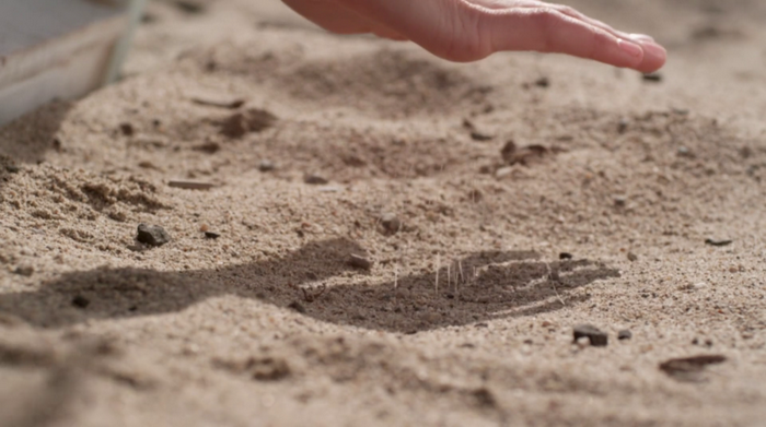 Film The Sand De Isaac Gabaeff 2015 Dark Side Reviews