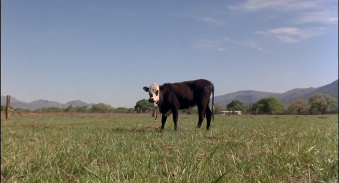 [Film] L'Horrible Invasion, de John ‘Bud’ Cardos (1977) - Dark Side Reviews