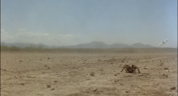[Film] L'Horrible Invasion, de John ‘Bud’ Cardos (1977) - Dark Side Reviews