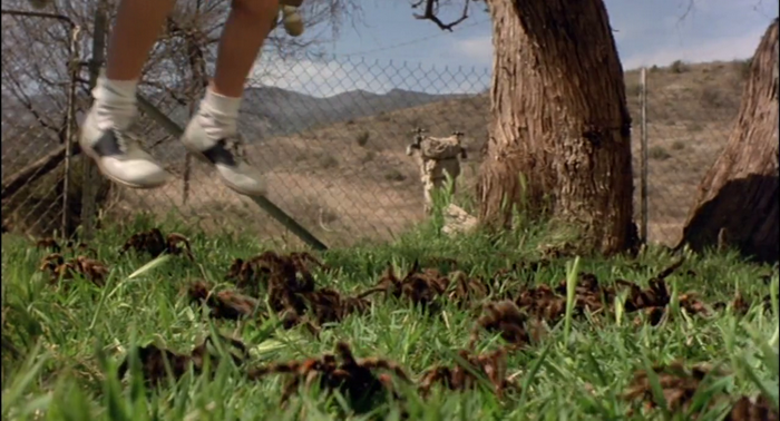[Film] L'Horrible Invasion, de John ‘Bud’ Cardos (1977) - Dark Side Reviews