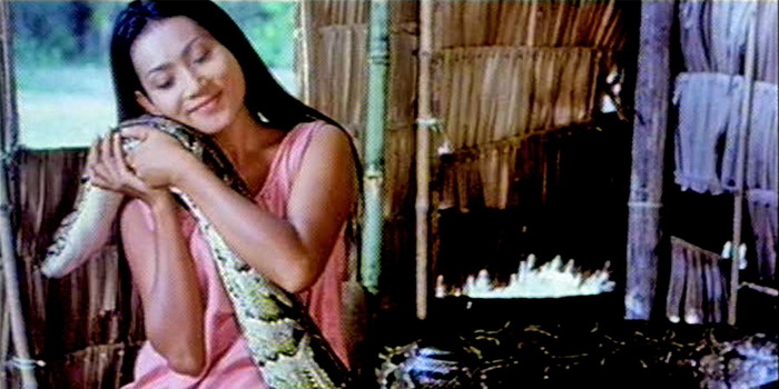 [Film] Snaker, de Fai Sam Ang (2001) - Dark Side Reviews