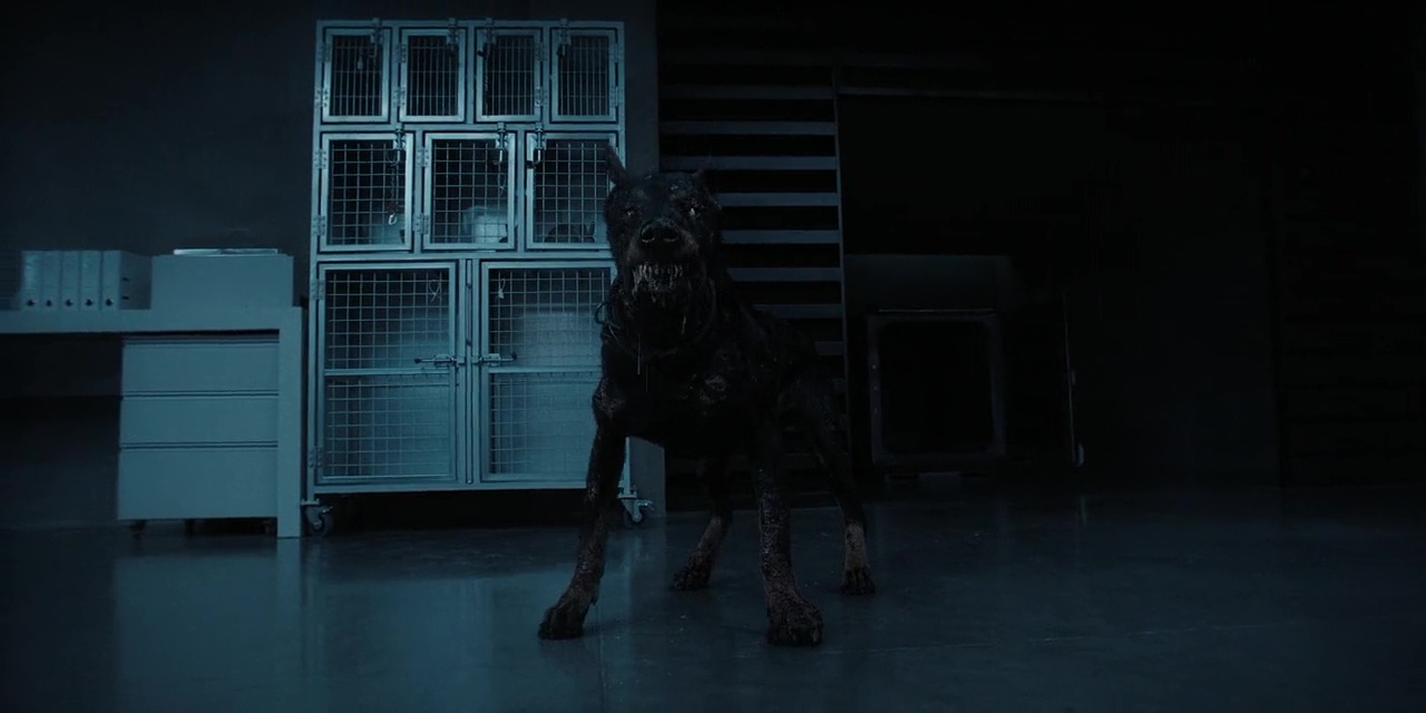 [Série] Resident Evil, de Rachel Goldberg, Bronwen Hughes, Rob ...