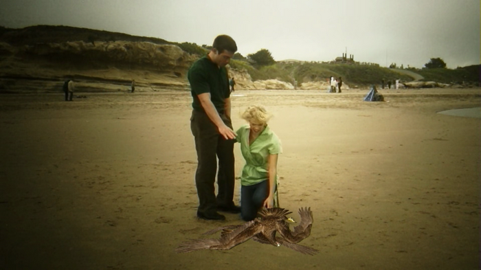 [Film] Birdemic: Shock And Terror, de James Nguyen (2010) - Dark Side ...