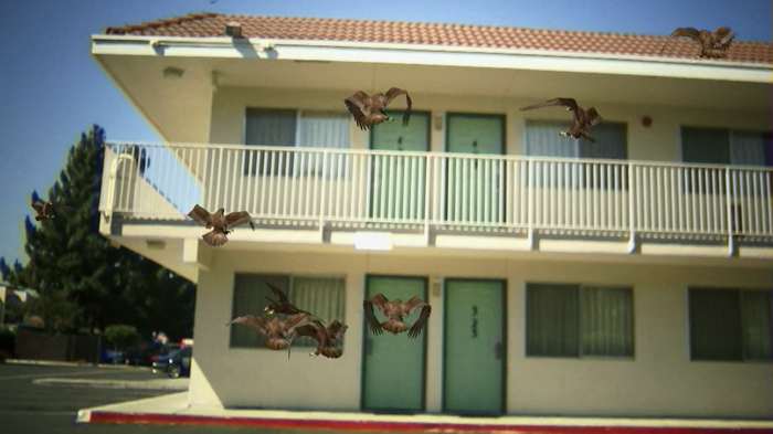 [Film] Birdemic: Shock And Terror, de James Nguyen (2010) - Dark Side ...