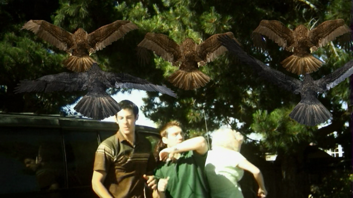[Film] Birdemic: Shock And Terror, de James Nguyen (2010) - Dark Side ...