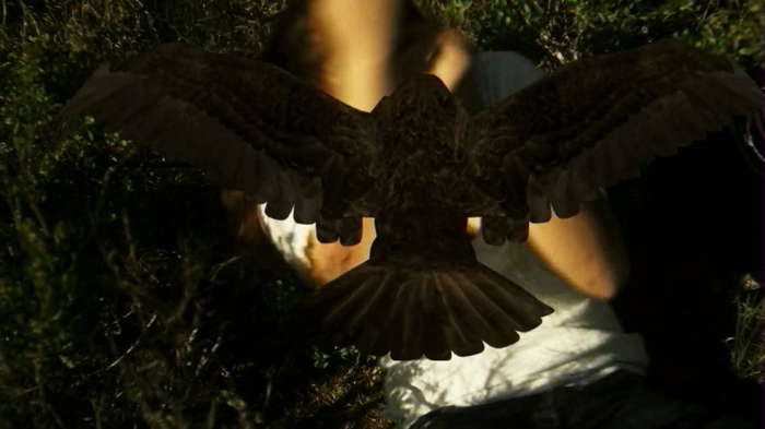 [Film] Birdemic: Shock And Terror, de James Nguyen (2010) - Dark Side ...