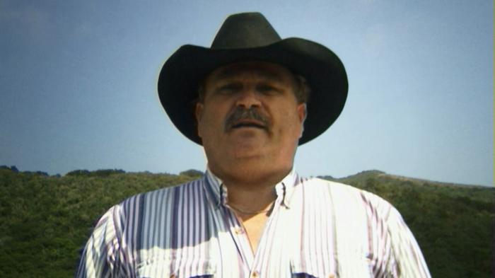 [Film] Birdemic: Shock And Terror, de James Nguyen (2010) - Dark Side ...