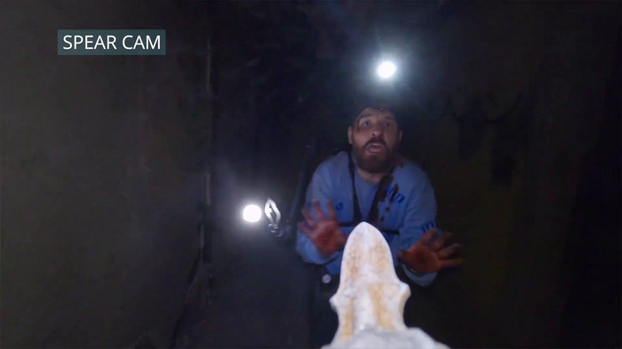 [Film] Deadstream, de Joseph et Vanessa Winter (2022) - Dark Side Reviews