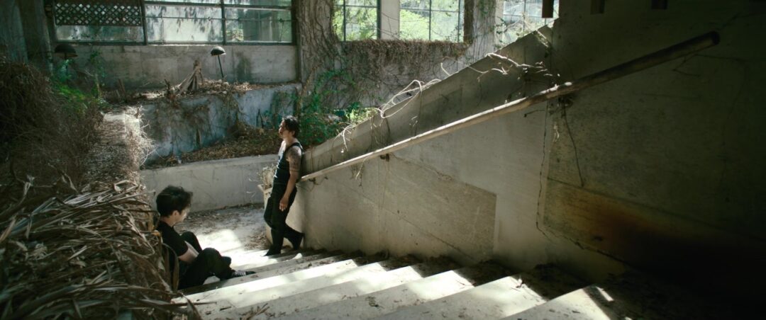 [Film] Hell Dogs, de Harada Masato (2022) - Dark Side Reviews