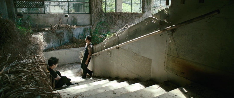 [Film] Hell Dogs, de Harada Masato (2022) - Dark Side Reviews