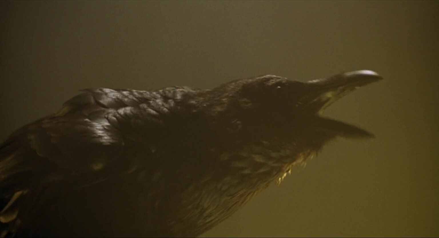 [Film] The Crow : La Cité des Anges, de Tim Pope (1996) - Dark Side Reviews