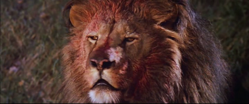 [Film] Roar, de Noel Marshall (1981) - Dark Side Reviews
