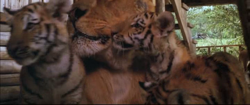 [Film] Roar, de Noel Marshall (1981) - Dark Side Reviews