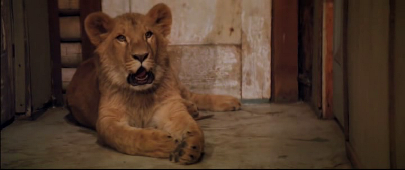 [Film] Roar, de Noel Marshall (1981) - Dark Side Reviews