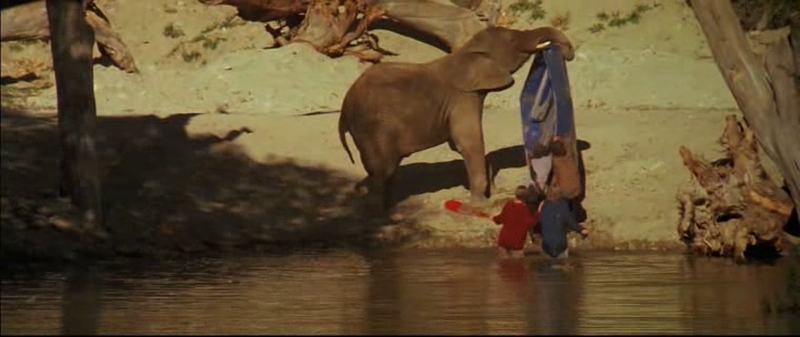 [Film] Roar, de Noel Marshall (1981) - Dark Side Reviews