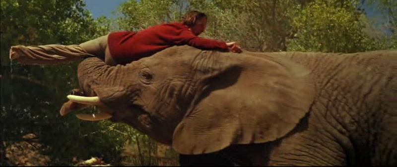 [Film] Roar, de Noel Marshall (1981) - Dark Side Reviews