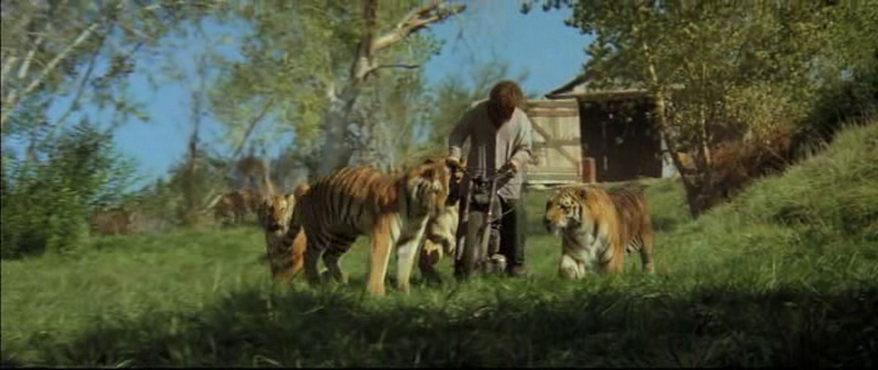 [Film] Roar, de Noel Marshall (1981) - Dark Side Reviews