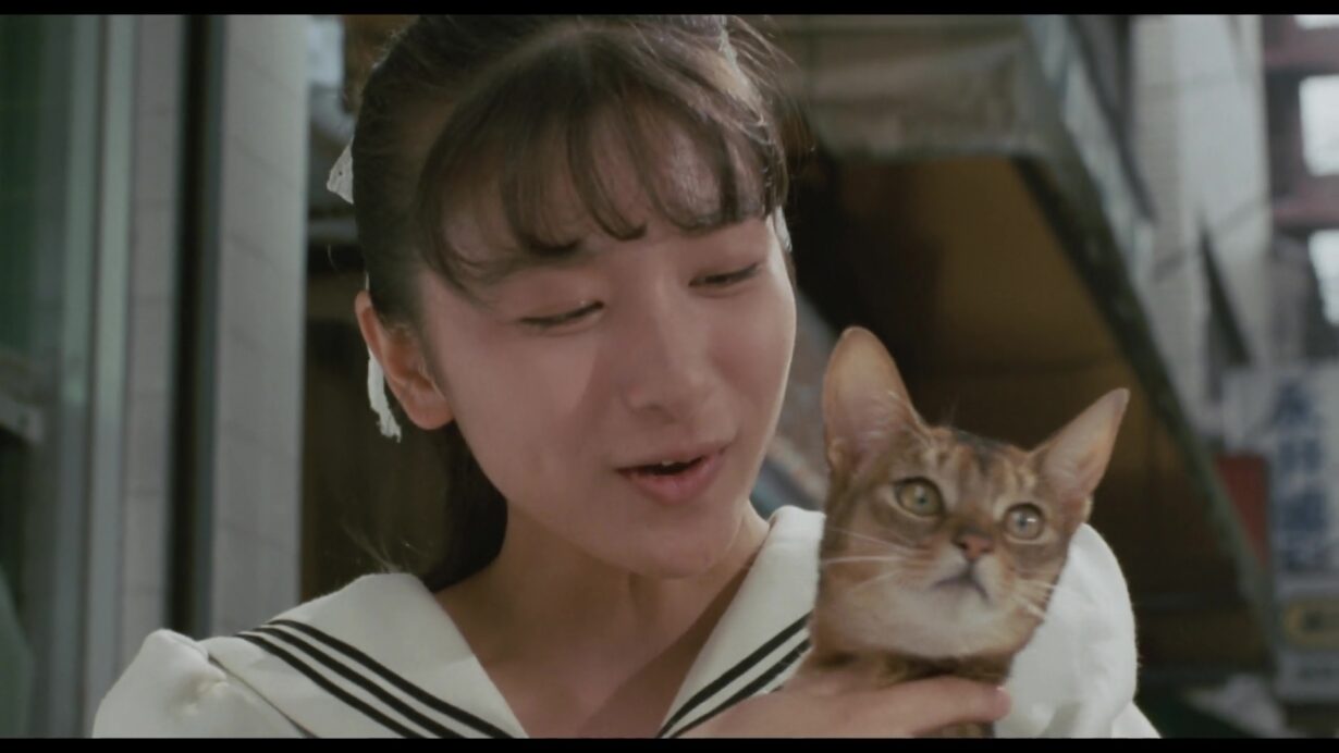 [Film] Shinjuku Love Story, de Nasu Hiroyuki (1987) - Dark Side Reviews