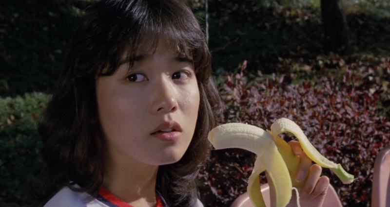 [Film] Beautiful Wrestlers: Down for the Count, de Nasu Hiroyuki (1984 ...