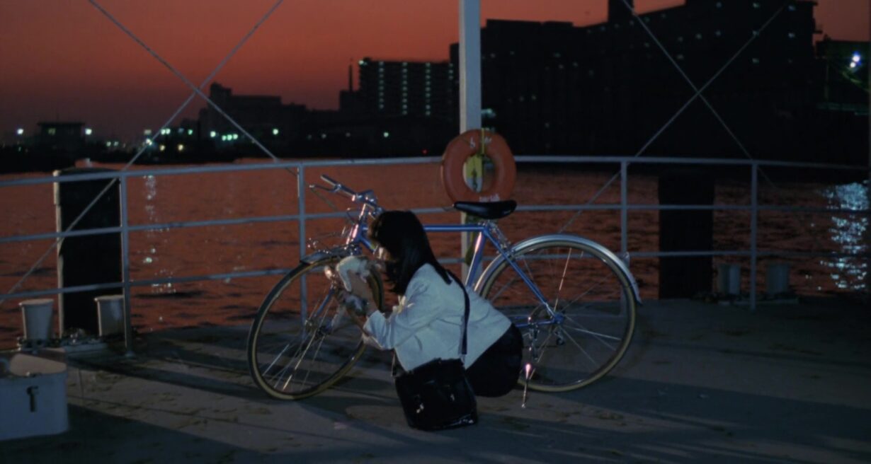 [Film] Beautiful Wrestlers: Down for the Count, de Nasu Hiroyuki (1984 ...