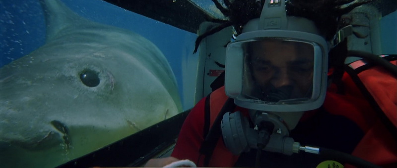 [Film] Les Dents de la Mer 4 : La Revanche, de Joseph Sargent (1987 ...