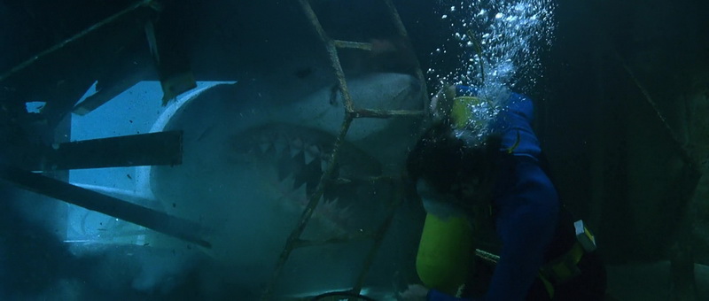 [Film] Les Dents de la Mer 4 : La Revanche, de Joseph Sargent (1987 ...