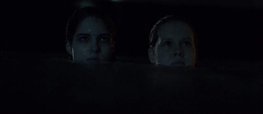 [Film] The Lure, de Agnieszka Smoczynska (2015) - Dark Side Reviews