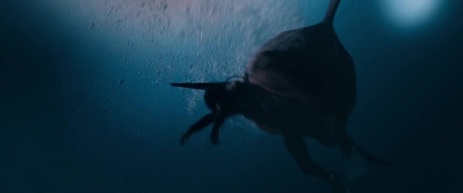 [Film] Mako, de Mohamed Hesham El-Rashidy (2021) - Dark Side Reviews