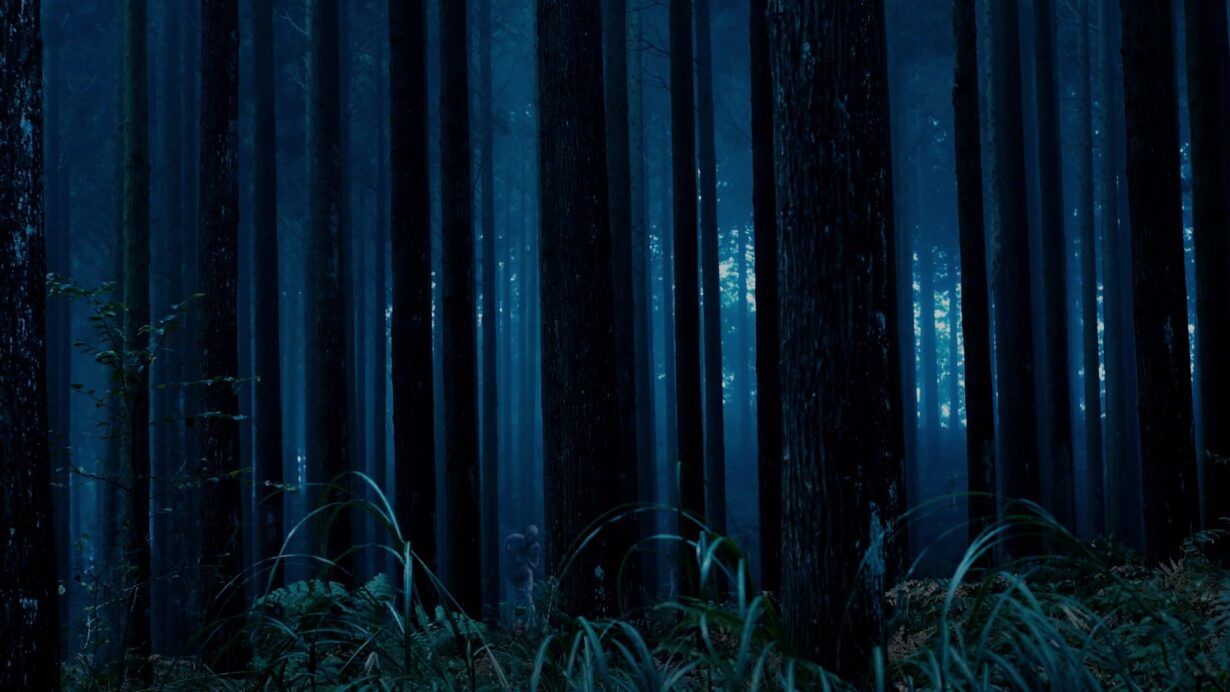 [Film] Death Forest, de Ichimi Masataka (2014) - Dark Side Reviews