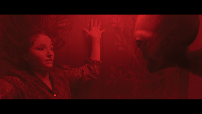 [Film] Traquée, de Brian Duffield (2023) - Dark Side Reviews