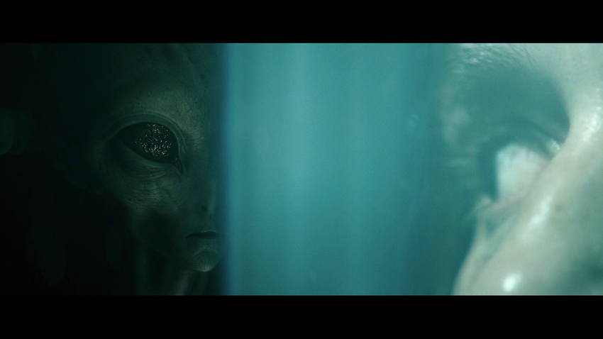 [Film] Traquée, de Brian Duffield (2023) - Dark Side Reviews