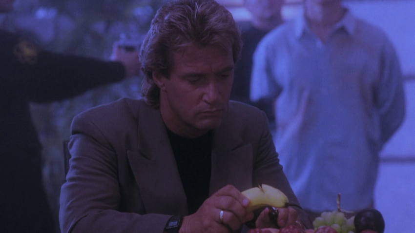 [Film] Cyber Tracker, de Richard Pepin (1994) - Dark Side Reviews