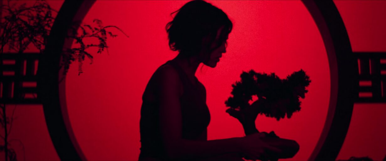 [Film] Ash, de Flying Lotus (2025) - Dark Side Reviews