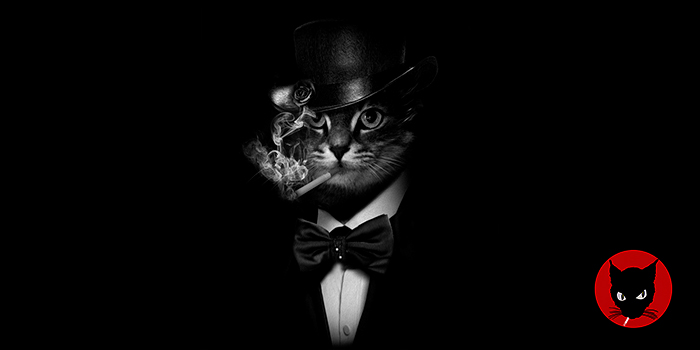 [News] Les nouveaux HK du Chat qui Fume s'illustrent - Dark Side Reviews